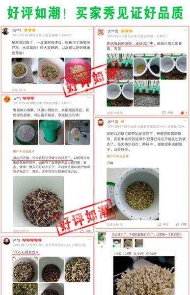 豆芽机怎么发豆芽_家用豆芽机使用步骤-第1张图片-山城妙识