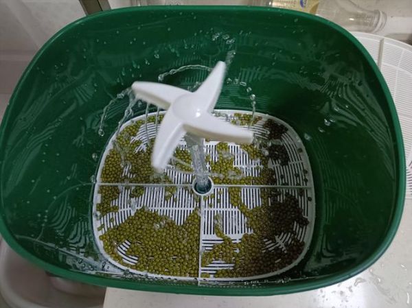 豆芽机怎么发豆芽_家用豆芽机使用步骤-第3张图片-山城妙识