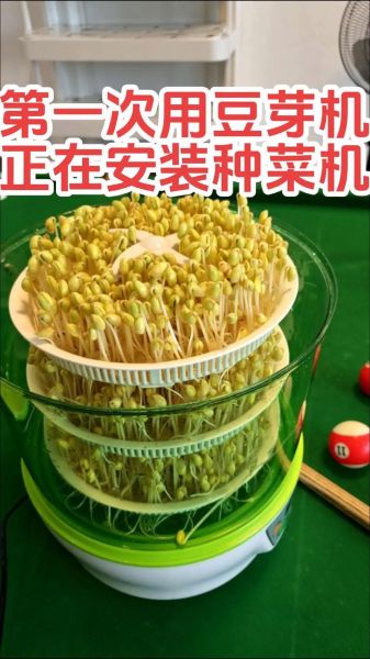 豆芽机怎么发豆芽_家用豆芽机使用步骤-第2张图片-山城妙识