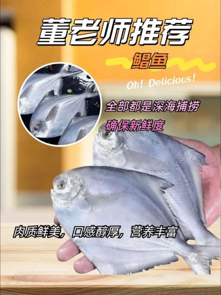 鲳鱼读音怎么读_鲳鱼拼音声调是什么-第2张图片-山城妙识 鲳鱼读音怎么读_鲳鱼拼音声调是什么-第2张图片-山城妙识