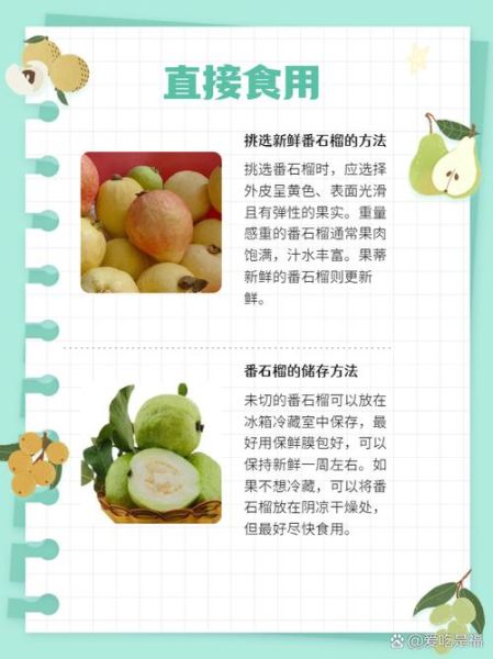 番石榴怎么吃_番石榴的正确吃法技巧-第1张图片-山城妙识 番石榴怎么吃_番石榴的正确吃法技巧-第1张图片-山城妙识