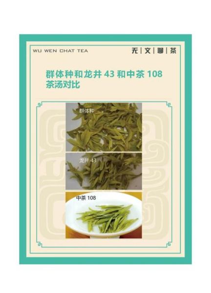 龙井茶有几个品种_龙井茶品种区别-第2张图片-山城妙识