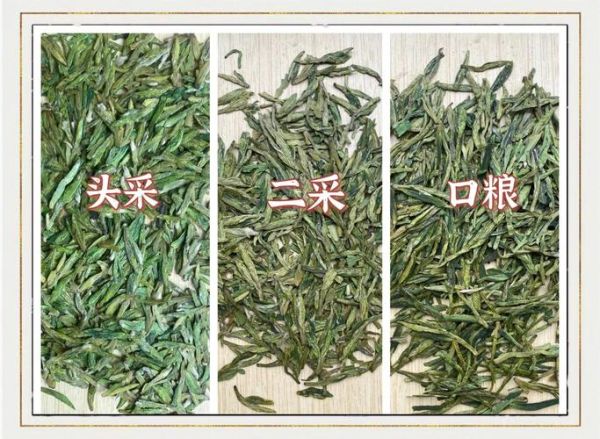 龙井茶有几个品种_龙井茶品种区别-第1张图片-山城妙识