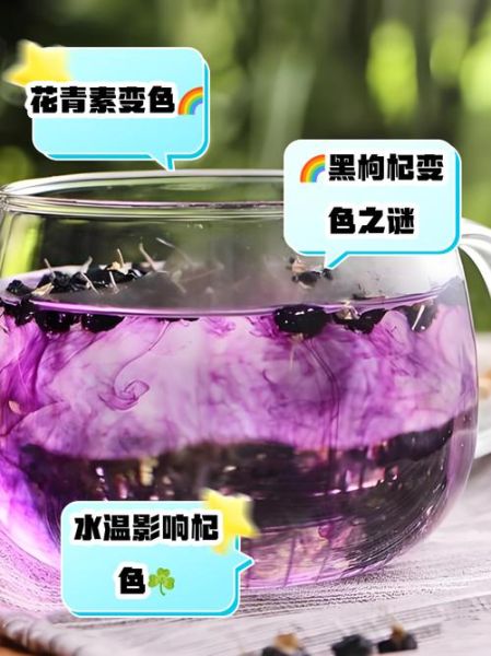 黑枸杞泡水后掉色正常吗_假黑枸杞鉴别方法-第3张图片-山城妙识