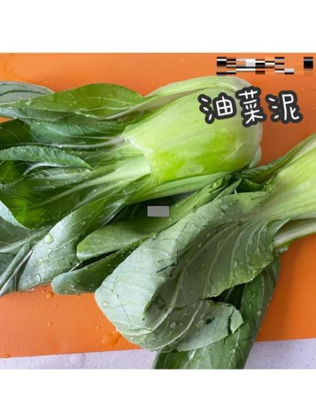 油菜怎么做给宝宝吃_油菜泥辅食做法-第1张图片-山城妙识