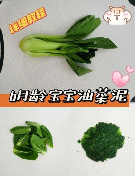油菜怎么做给宝宝吃_油菜泥辅食做法-第3张图片-山城妙识