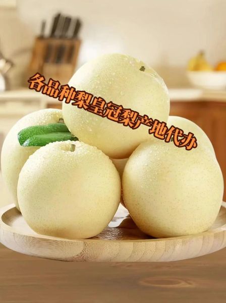 皇冠梨产地在哪里_皇冠梨和雪梨哪个好-第2张图片-山城妙识 皇冠梨产地在哪里_皇冠梨和雪梨哪个好-第2张图片-山城妙识