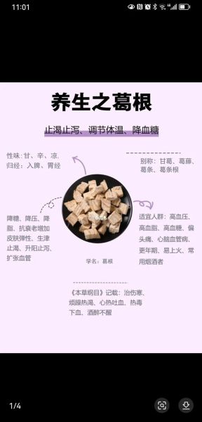 葛根粉能降血糖吗_葛根粉怎么吃最好-第1张图片-山城妙识 葛根粉能降血糖吗_葛根粉怎么吃最好-第1张图片-山城妙识