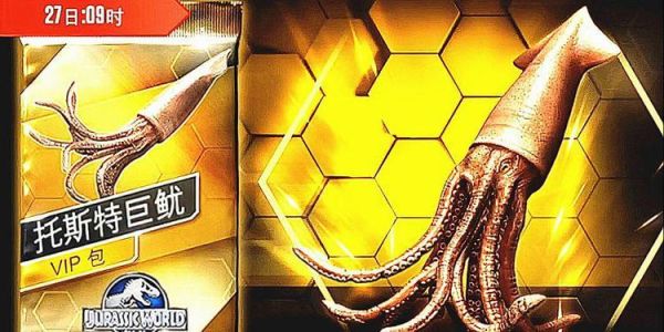 托斯特巨鱿有多大_托斯特巨鱿吃什么-第2张图片-山城妙识 托斯特巨鱿有多大_托斯特巨鱿吃什么-第2张图片-山城妙识