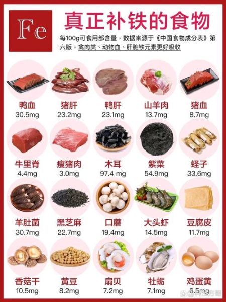 人体缺铁吃什么补_缺铁吃什么食物最快-第2张图片-山城妙识