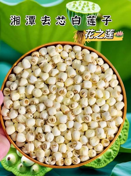 莲子图片大全大图_高清细节如何辨别-第1张图片-山城妙识 莲子图片大全大图_高清细节如何辨别-第1张图片-山城妙识