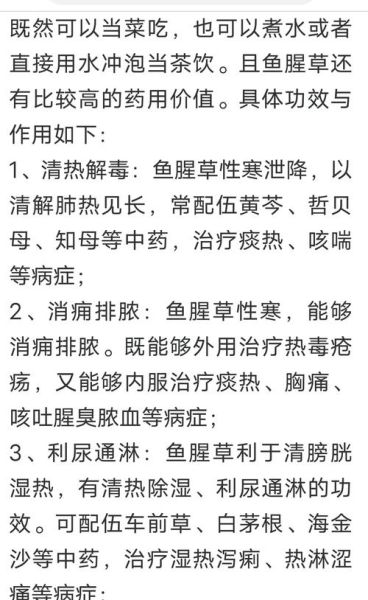 鱼腥草致癌是真的吗_鱼腥草到底能不能吃-第1张图片-山城妙识 鱼腥草致癌是真的吗_鱼腥草到底能不能吃-第1张图片-山城妙识