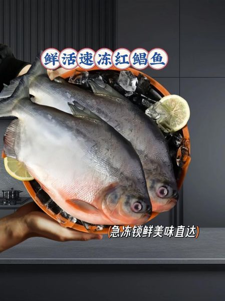 红鲳鱼市场价多少钱一斤_红鲳鱼价格走势-第2张图片-山城妙识 红鲳鱼市场价多少钱一斤_红鲳鱼价格走势-第2张图片-山城妙识
