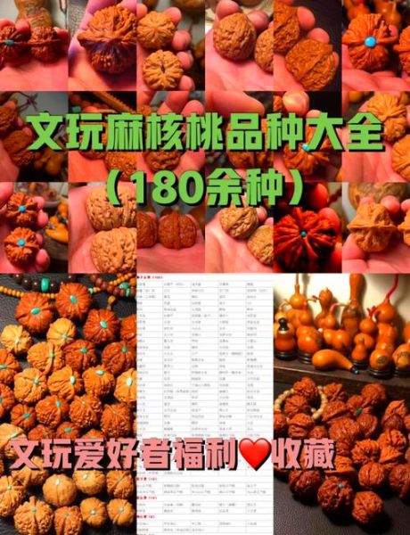 麻核桃价格一个多少钱_影响价格的核心因素-第1张图片-山城妙识 麻核桃价格一个多少钱_影响价格的核心因素-第1张图片-山城妙识
