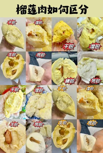 榴莲怎么挑选好吃_肉多核小怎么分辨-第3张图片-山城妙识 榴莲怎么挑选好吃_肉多核小怎么分辨-第3张图片-山城妙识