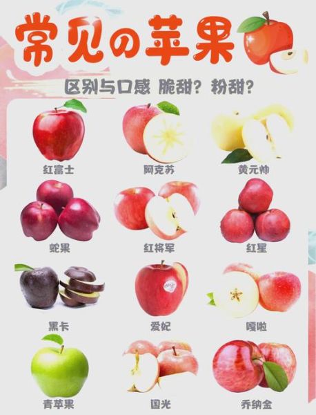 苹果热量高吗_苹果糖分多吗-第2张图片-山城妙识