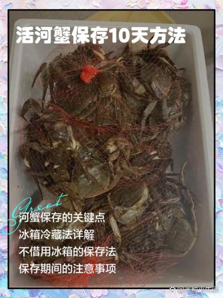 螃蟹怎么保存3个月_冷冻螃蟹能放多久-第3张图片-山城妙识 螃蟹怎么保存3个月_冷冻螃蟹能放多久-第3张图片-山城妙识