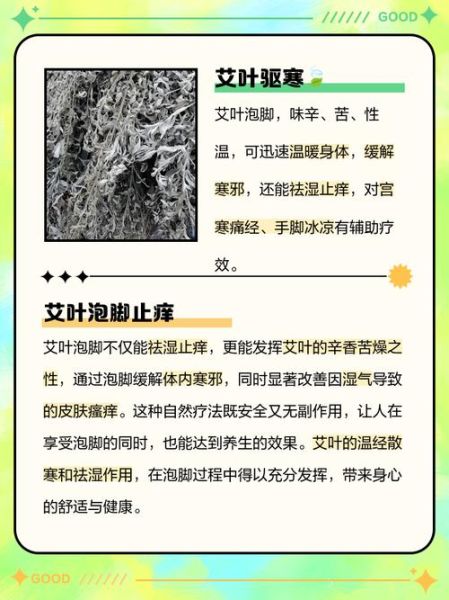 艾草泡脚治什么病_艾草泡脚的功效与作用-第3张图片-山城妙识 艾草泡脚治什么病_艾草泡脚的功效与作用-第3张图片-山城妙识