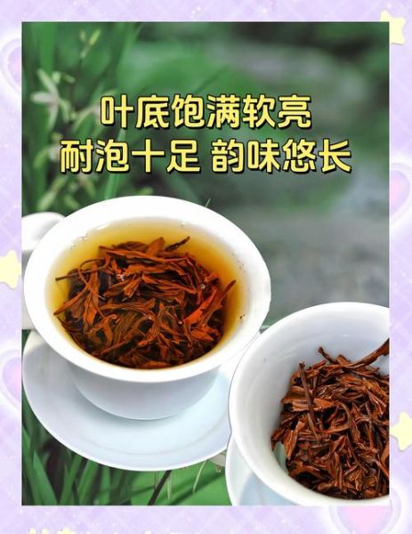 正山小种多少钱一斤_正山小种价格区别在哪-第1张图片-山城妙识