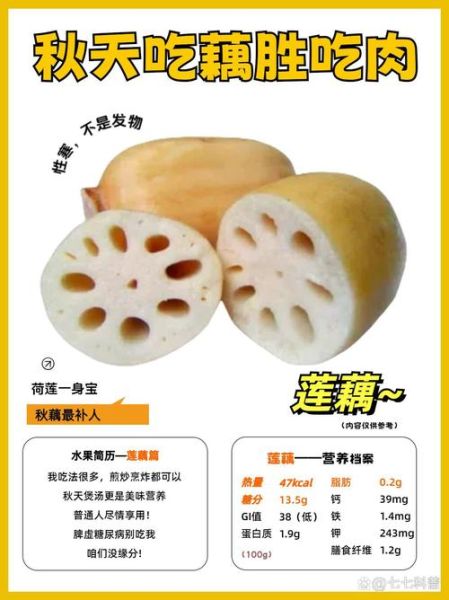 藕的营养价值_藕的功效与作用-第1张图片-山城妙识 藕的营养价值_藕的功效与作用-第1张图片-山城妙识