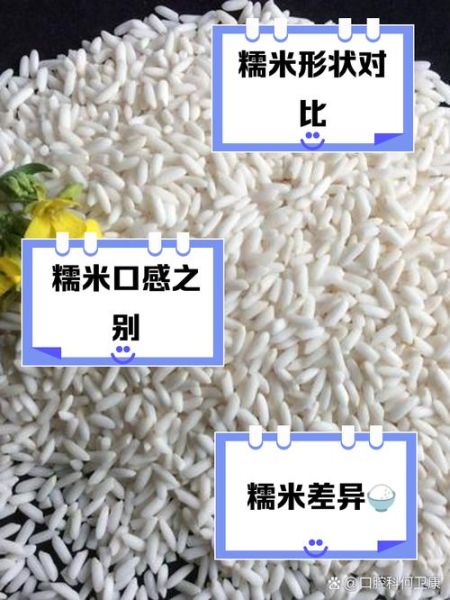 糯米是不是江米_江米和糯米的区别-第3张图片-山城妙识 糯米是不是江米_江米和糯米的区别-第3张图片-山城妙识