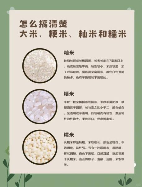 糯米是不是江米_江米和糯米的区别-第1张图片-山城妙识 糯米是不是江米_江米和糯米的区别-第1张图片-山城妙识