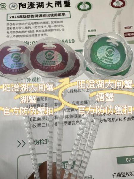 阳澄湖大闸蟹官网正品购买_如何辨别真假-第1张图片-山城妙识