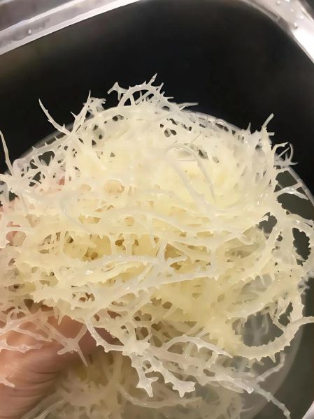 鲜龙须菜怎么凉拌_鲜龙须菜凉拌的做法窍门-第3张图片-山城妙识 鲜龙须菜怎么凉拌_鲜龙须菜凉拌的做法窍门-第3张图片-山城妙识