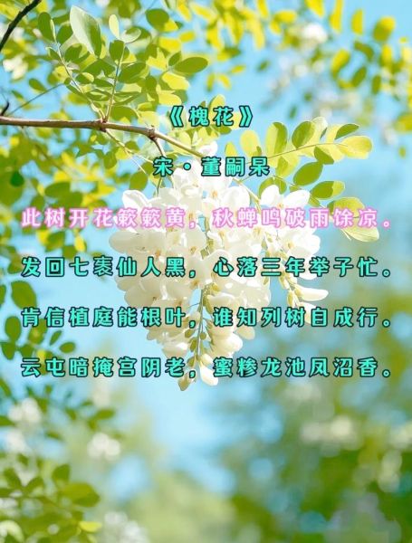 槐花诗句有哪些_槐花象征什么-第1张图片-山城妙识 槐花诗句有哪些_槐花象征什么-第1张图片-山城妙识