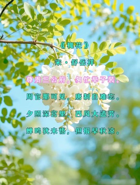 槐花诗句有哪些_槐花象征什么-第2张图片-山城妙识 槐花诗句有哪些_槐花象征什么-第2张图片-山城妙识