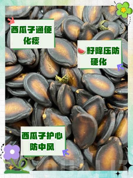 西瓜子怎么来的_西瓜子是怎么形成的-第1张图片-山城妙识 西瓜子怎么来的_西瓜子是怎么形成的-第1张图片-山城妙识
