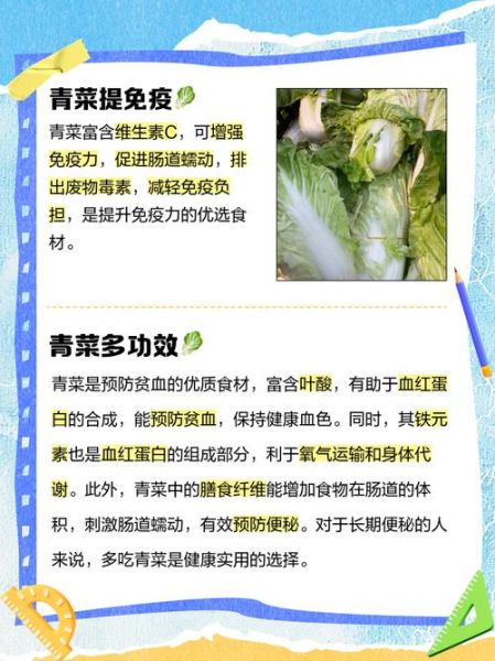 青菜的营养价值及功效与作用_青菜怎么吃最营养-第1张图片-山城妙识 青菜的营养价值及功效与作用_青菜怎么吃最营养-第1张图片-山城妙识