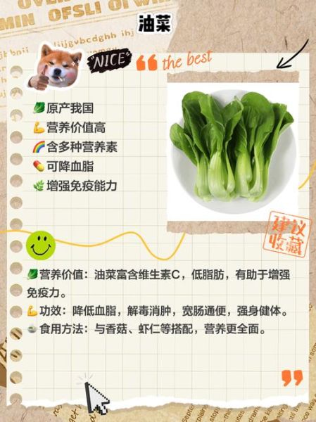 青菜的营养价值及功效与作用_青菜怎么吃最营养-第2张图片-山城妙识 青菜的营养价值及功效与作用_青菜怎么吃最营养-第2张图片-山城妙识