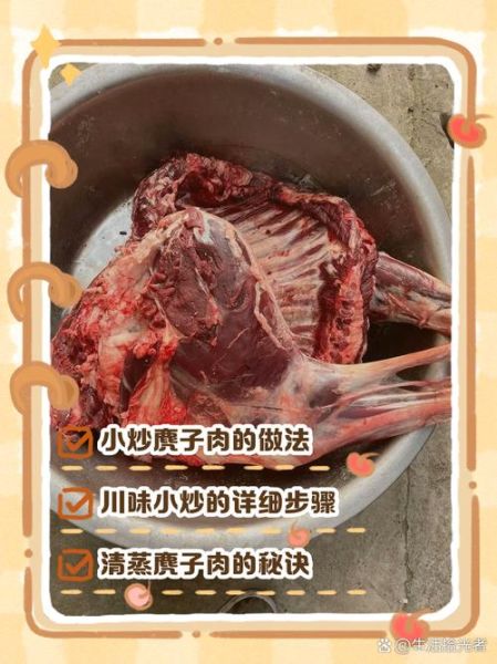 麂子肉的功效与作用_麂子肉怎么吃最补-第1张图片-山城妙识 麂子肉的功效与作用_麂子肉怎么吃最补-第1张图片-山城妙识