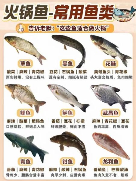 重庆火锅鱼怎么做_正宗麻辣底料配方-第3张图片-山城妙识 重庆火锅鱼怎么做_正宗麻辣底料配方-第3张图片-山城妙识