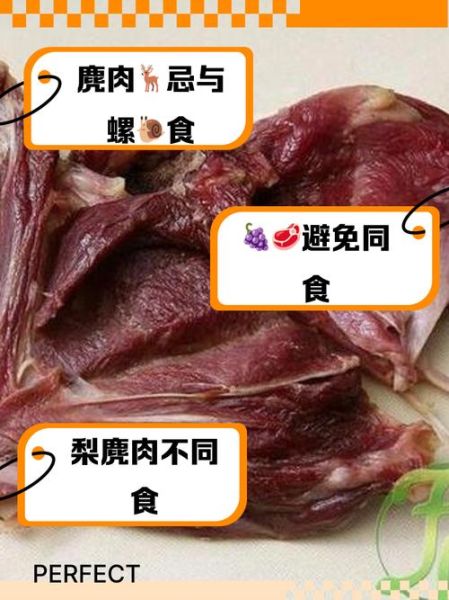 麂子肉的功效与作用_麂子肉怎么吃最补-第2张图片-山城妙识 麂子肉的功效与作用_麂子肉怎么吃最补-第2张图片-山城妙识