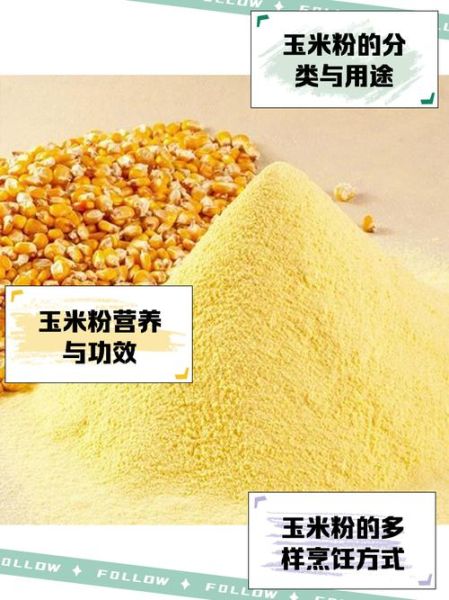 玉米淀粉可以做什么_玉米淀粉的用途有哪些-第2张图片-山城妙识 玉米淀粉可以做什么_玉米淀粉的用途有哪些-第2张图片-山城妙识