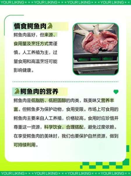 鳄鱼肉什么人不能吃_鳄鱼肉禁忌人群有哪些-第3张图片-山城妙识 鳄鱼肉什么人不能吃_鳄鱼肉禁忌人群有哪些-第3张图片-山城妙识