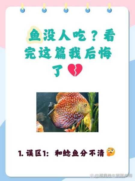 鮰鱼为什么不能吃_鮰鱼吃了有什么危害-第1张图片-山城妙识 鮰鱼为什么不能吃_鮰鱼吃了有什么危害-第1张图片-山城妙识