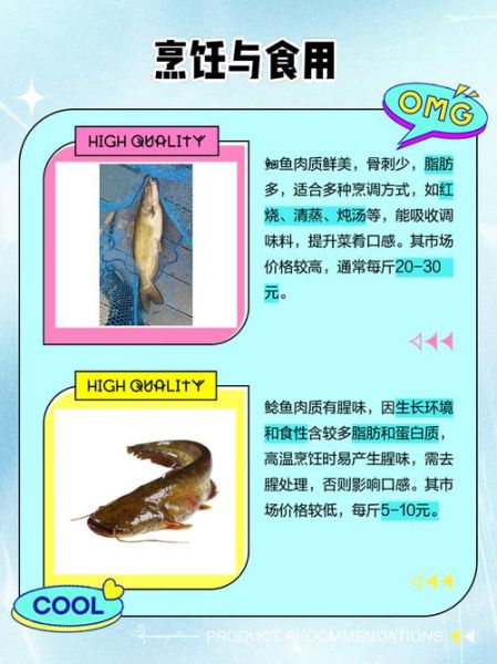 鮰鱼为什么不能吃_鮰鱼吃了有什么危害-第3张图片-山城妙识 鮰鱼为什么不能吃_鮰鱼吃了有什么危害-第3张图片-山城妙识