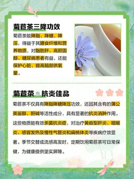 菊苣的副作用有哪些_菊苣茶喝多了会怎样-第1张图片-山城妙识 菊苣的副作用有哪些_菊苣茶喝多了会怎样-第1张图片-山城妙识