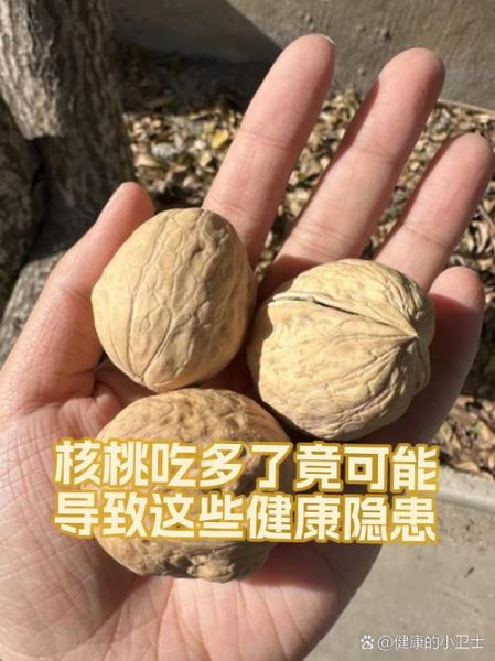 核桃一天吃几个合适_核桃吃多了会上火吗-第1张图片-山城妙识 核桃一天吃几个合适_核桃吃多了会上火吗-第1张图片-山城妙识