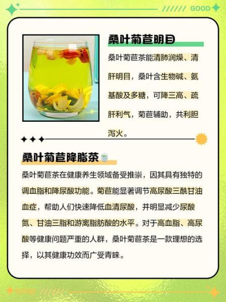 菊苣的副作用有哪些_菊苣茶喝多了会怎样-第2张图片-山城妙识 菊苣的副作用有哪些_菊苣茶喝多了会怎样-第2张图片-山城妙识