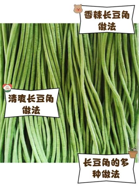 长豆角需要焯水吗_焯水几分钟最合适-第1张图片-山城妙识 长豆角需要焯水吗_焯水几分钟最合适-第1张图片-山城妙识