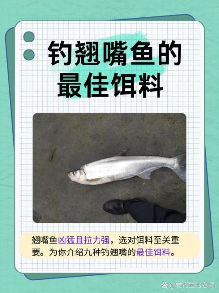 翘嘴鱼刺多吗_适合宝宝吃吗-第1张图片-山城妙识 翘嘴鱼刺多吗_适合宝宝吃吗-第1张图片-山城妙识