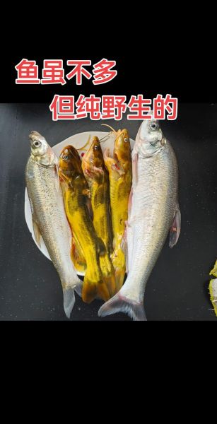 翘嘴鱼刺多吗_适合宝宝吃吗-第2张图片-山城妙识 翘嘴鱼刺多吗_适合宝宝吃吗-第2张图片-山城妙识