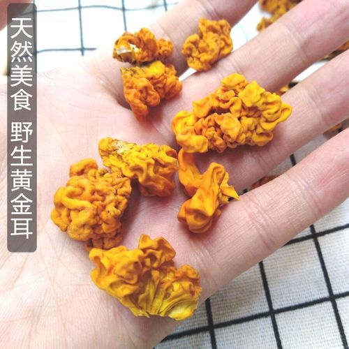 黄木耳的功效与作用_黄木耳怎么泡发最好-第2张图片-山城妙识 黄木耳的功效与作用_黄木耳怎么泡发最好-第2张图片-山城妙识