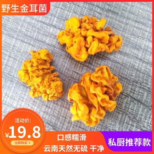黄木耳的功效与作用_黄木耳怎么泡发最好-第1张图片-山城妙识 黄木耳的功效与作用_黄木耳怎么泡发最好-第1张图片-山城妙识