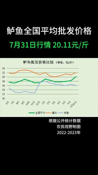 鲈鱼价格一斤多少钱_鲈鱼多少钱一斤今日行情-第1张图片-山城妙识 鲈鱼价格一斤多少钱_鲈鱼多少钱一斤今日行情-第1张图片-山城妙识