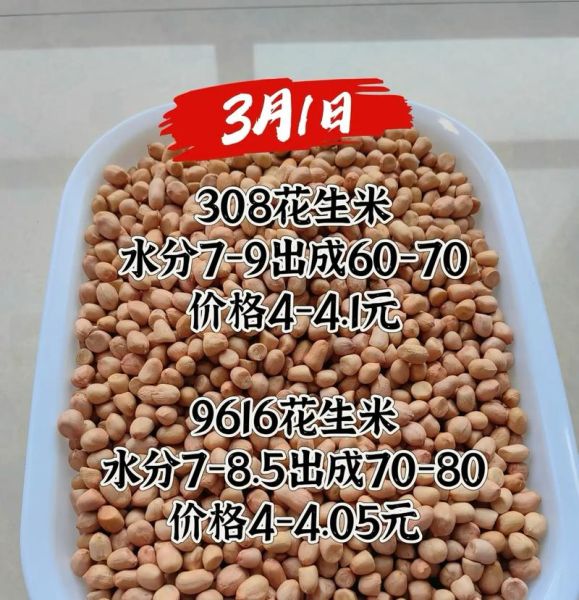 全国最大花生批发市场在哪_进货价格是多少-第1张图片-山城妙识